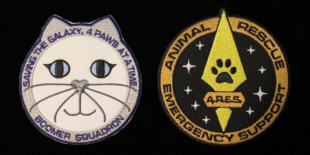 Axanar Animal Rescue Kitten 2024 Update! – Axanar